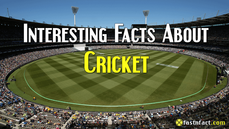 50 Interesting Facts About Cricket Fastnfact 50-interesting-facts-about-cricket-fastnfact